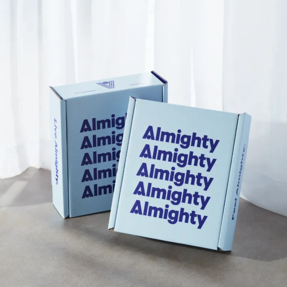 330ml Can Mailer Box | Beer Shipping Box l Delivery Packaging