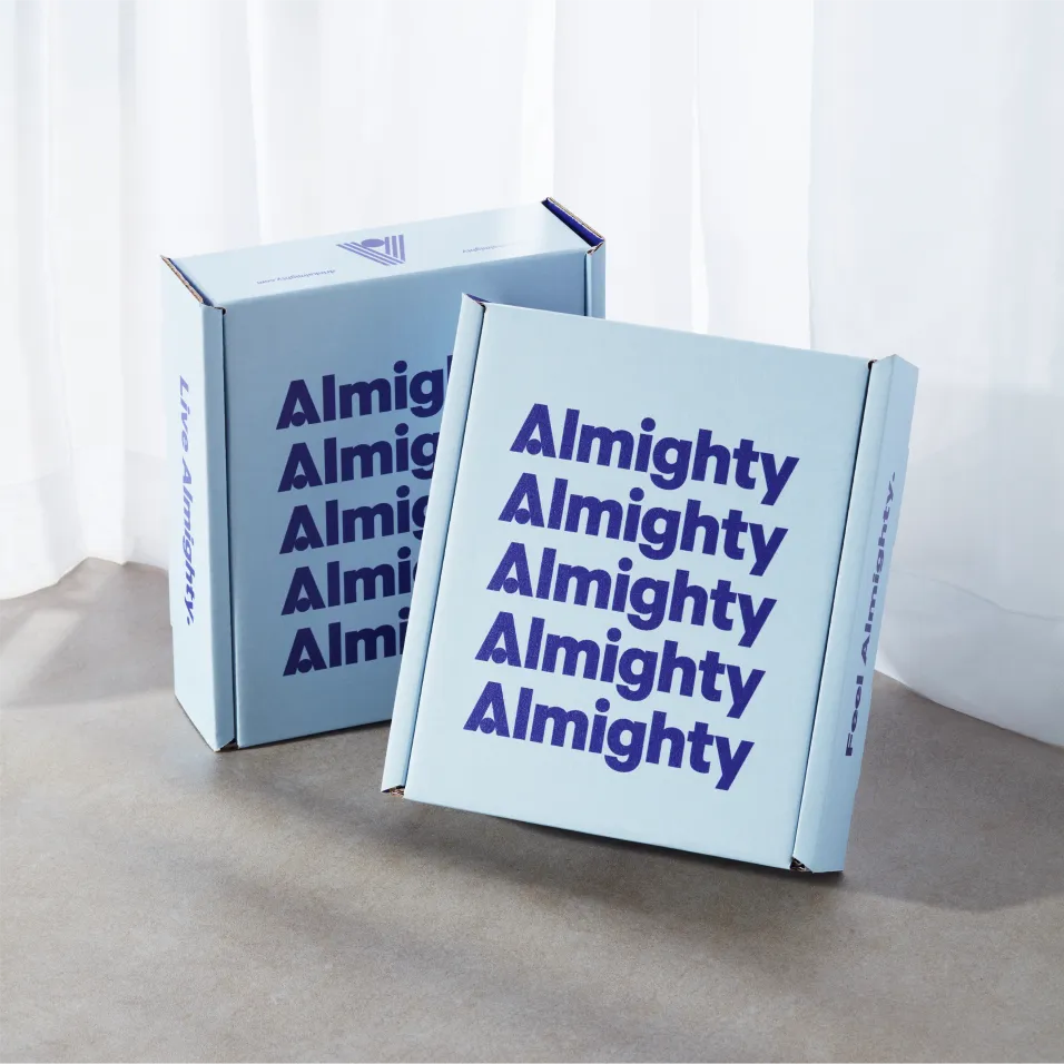 330ml Can Mailer Box | Beer Shipping Box l Delivery Packaging